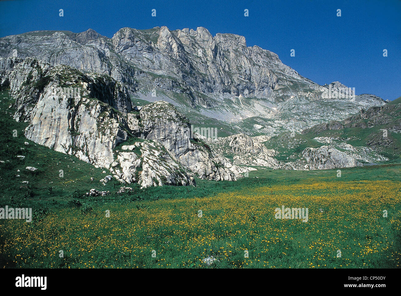 Piedmont - Maritime Alps Natural Park Alta Valle Pesio (Cn), the basin ...