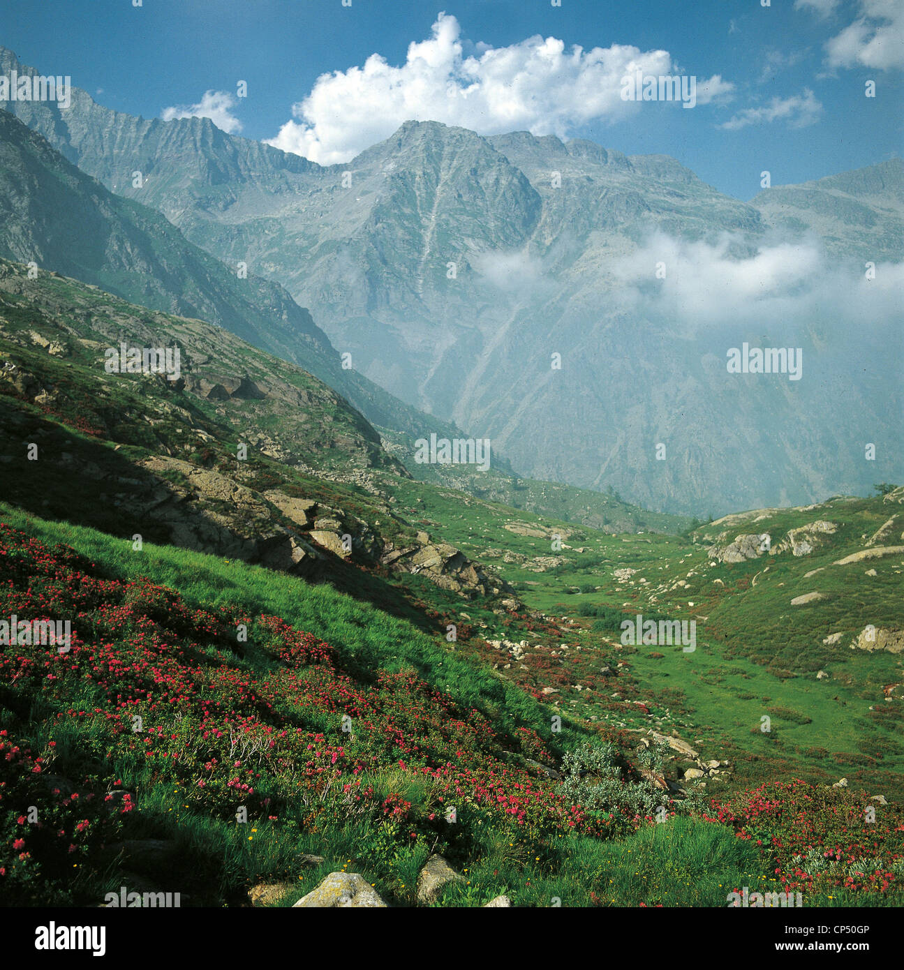 Piedmont - Graian - Parco Nazionale del Gran Paradiso. Valley of ...