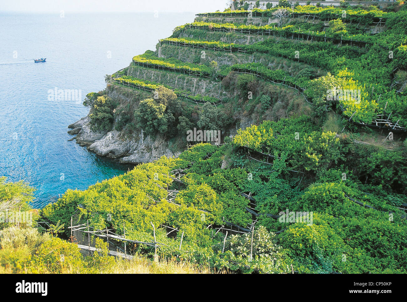 Campania Amalfi lemon groves Stock Photo - Alamy
