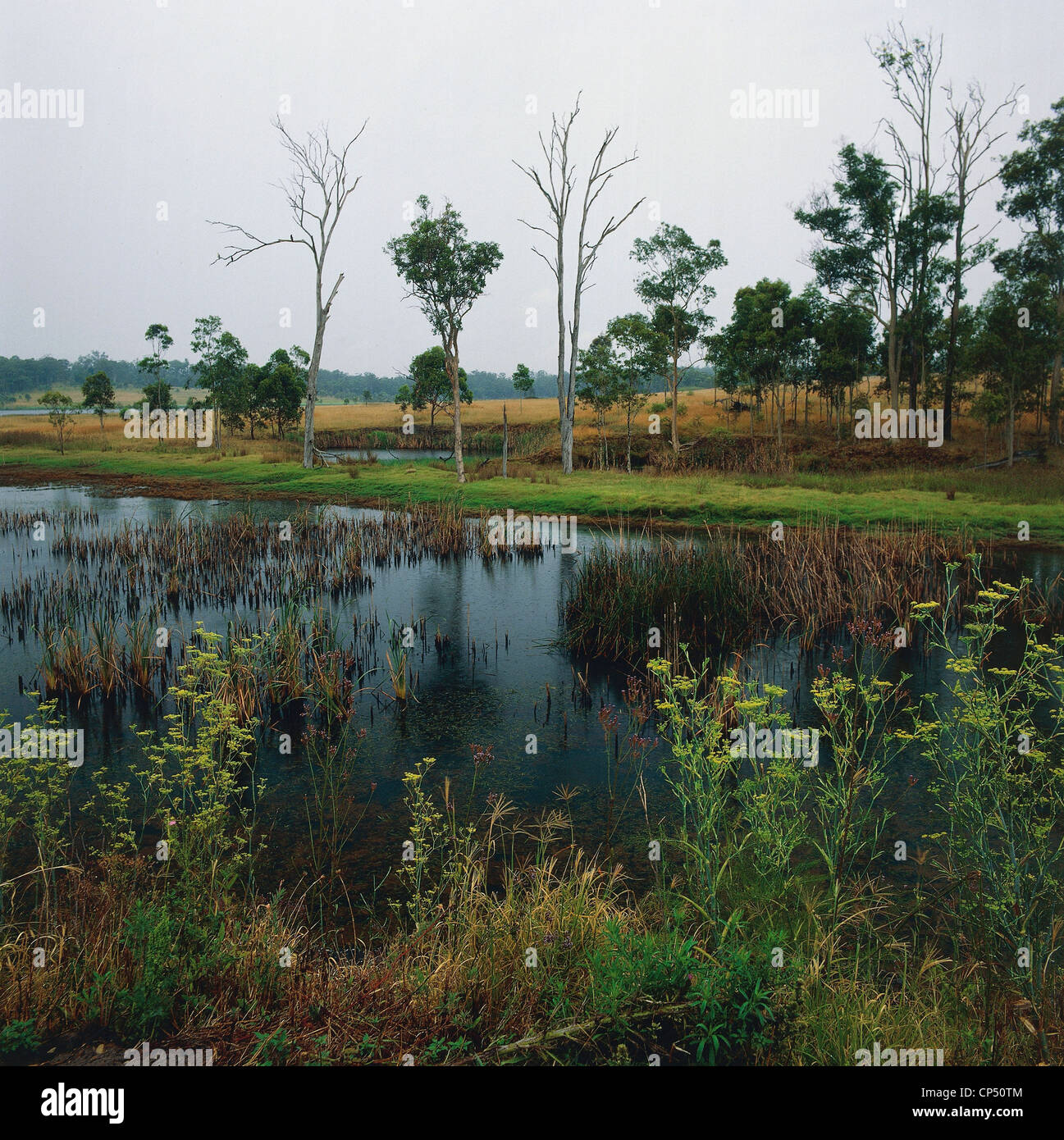 Australia - New South Wales - Grahamstown Lake Stock Photo - Alamy