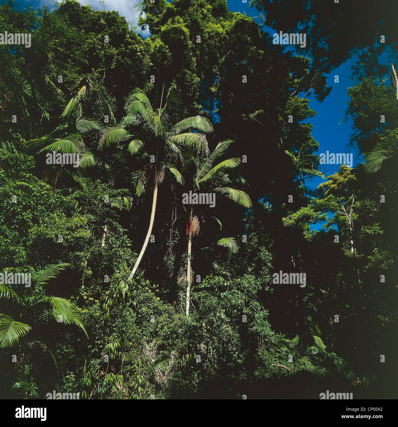 Cooloola National Park High Resolution Stock Photography and Images - Alamy