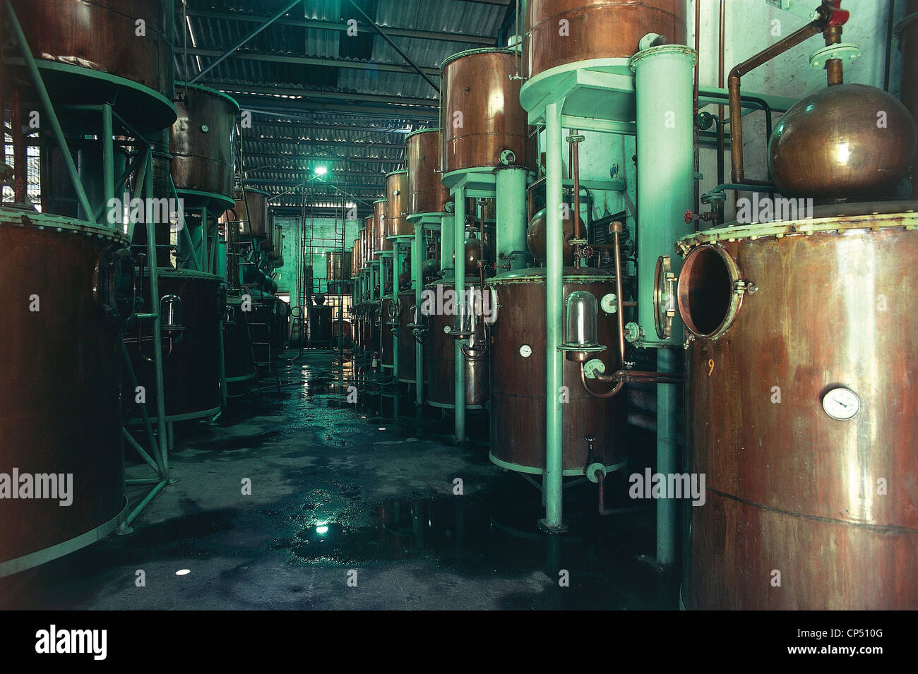 Chile - Pisco Distillery, Peruvian brandy Stock Photo - Alamy