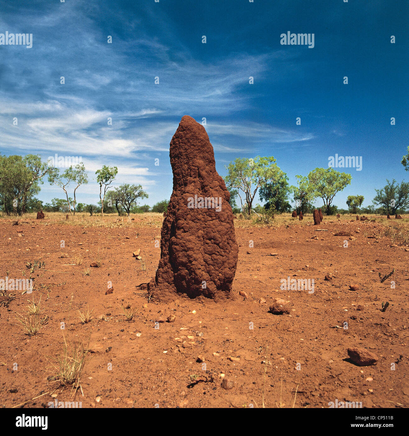 Termitarium hi-res stock photography and images - Alamy