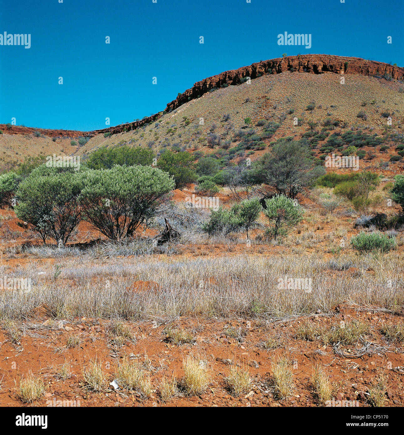 Australia Northern Territory along the Stuart Highway Landscape Stock ...