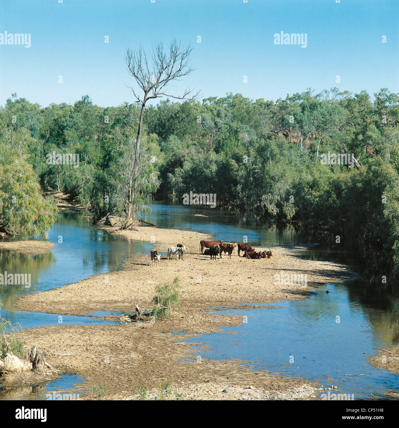 Australia - Queensland - Mount Surprise. River Junction Stock Photo - Alamy