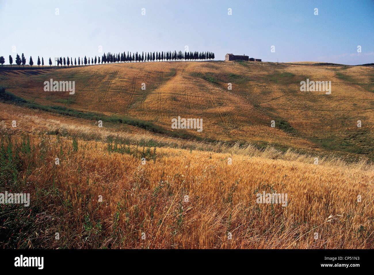 Siena Tuscany Landscape Stock Photo - Alamy