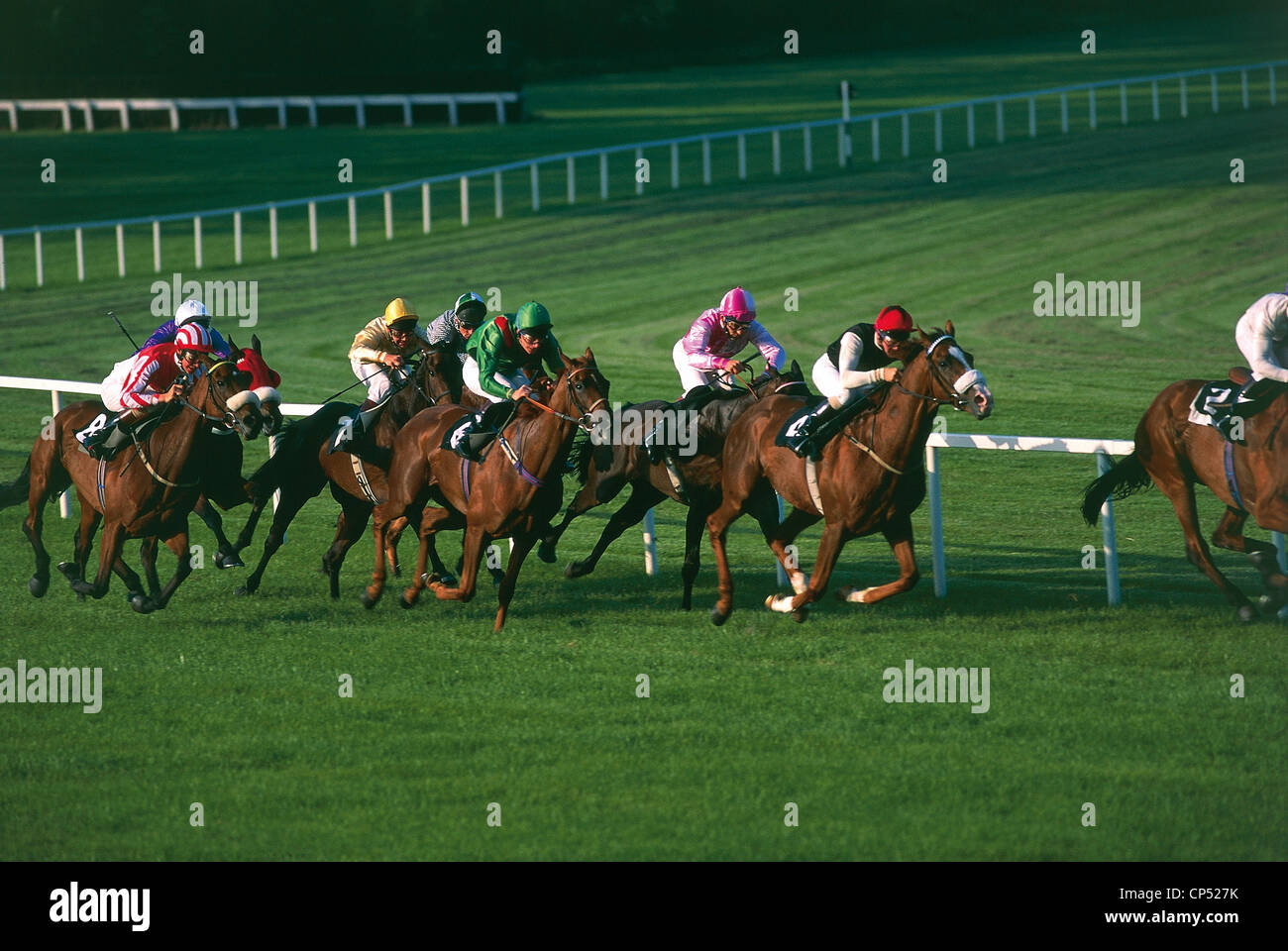 Dublin Leopardstown RACECOURSE Stock Photo - Alamy