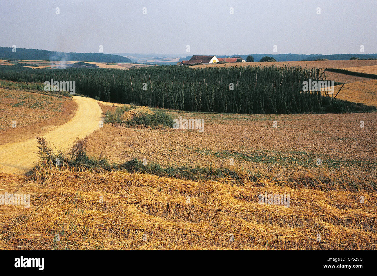 WESTERN BOHEMIA CZECHOSLOVAKIA Agricultural Landscape Stock Photo - Alamy