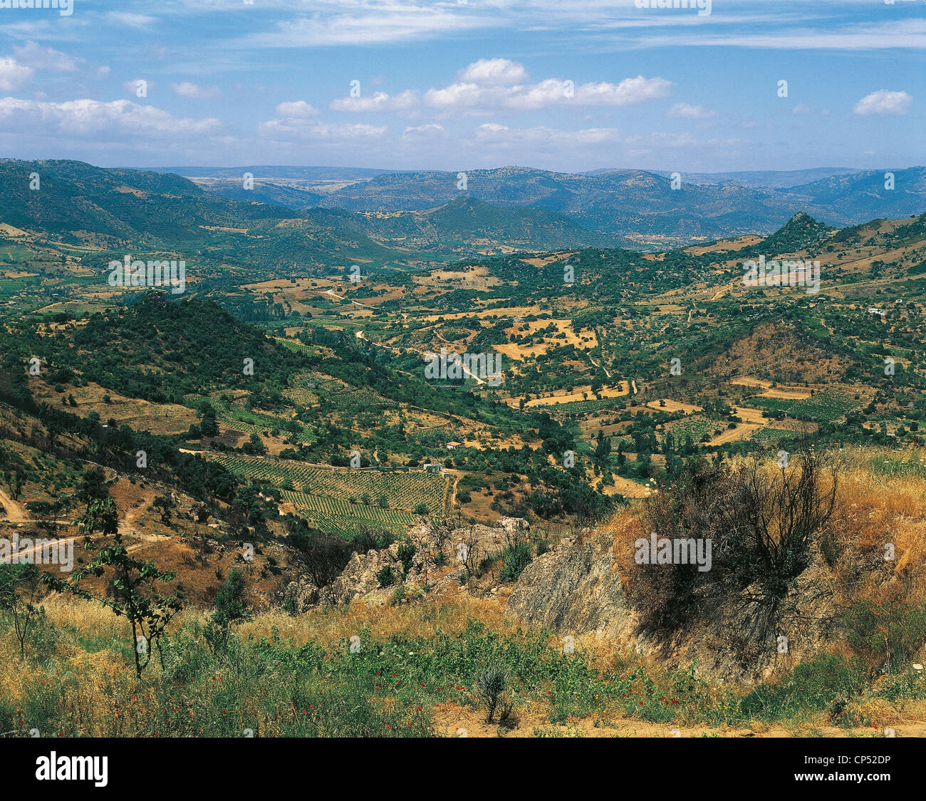 Sardinia - Landscape Around Orgosolo Stock Photo - Alamy