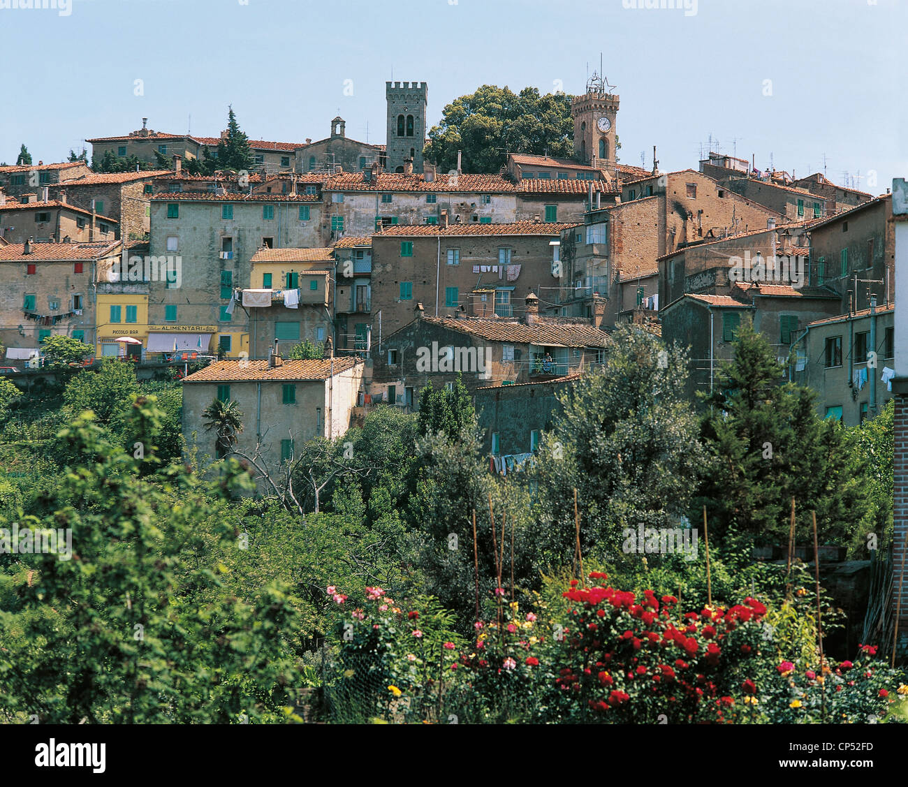 Tuscan Chestnut Carducci Stock Photo - Alamy