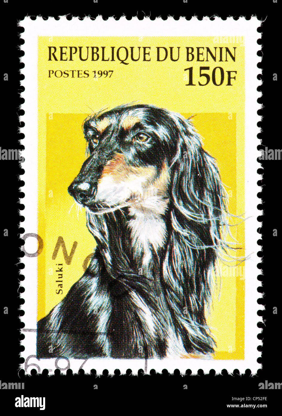 Postage stamp from Benin depicting a Saluki dog Stock Photo - Alamy