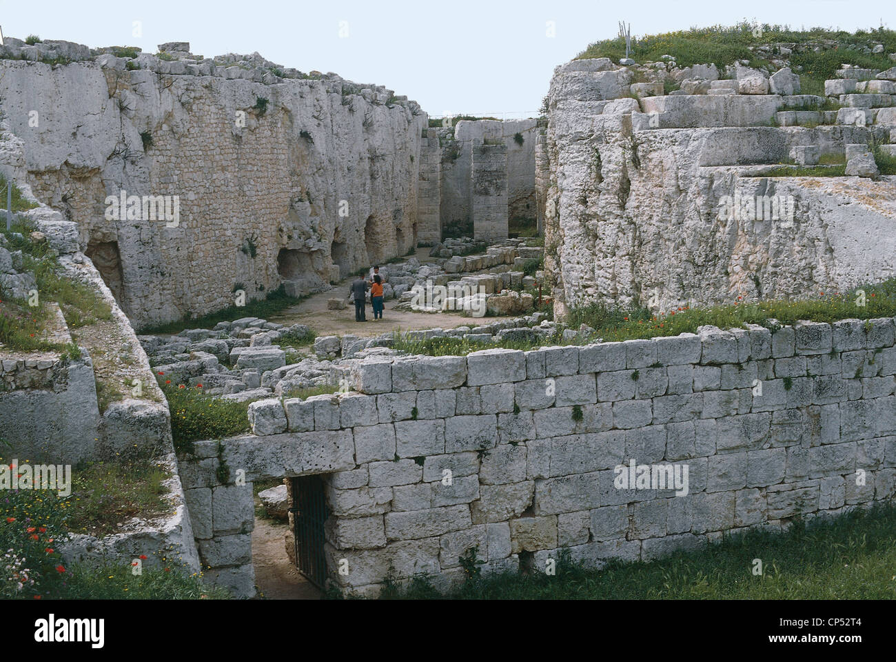 Euryalus hi-res stock photography and images - Alamy