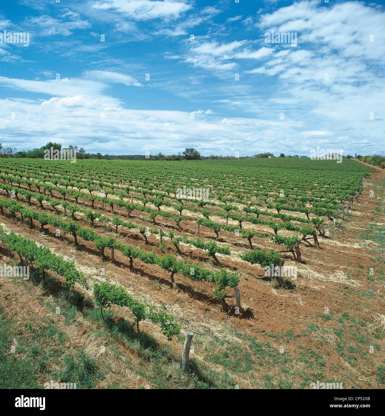 Victoria murray hi-res stock photography and images - Alamy