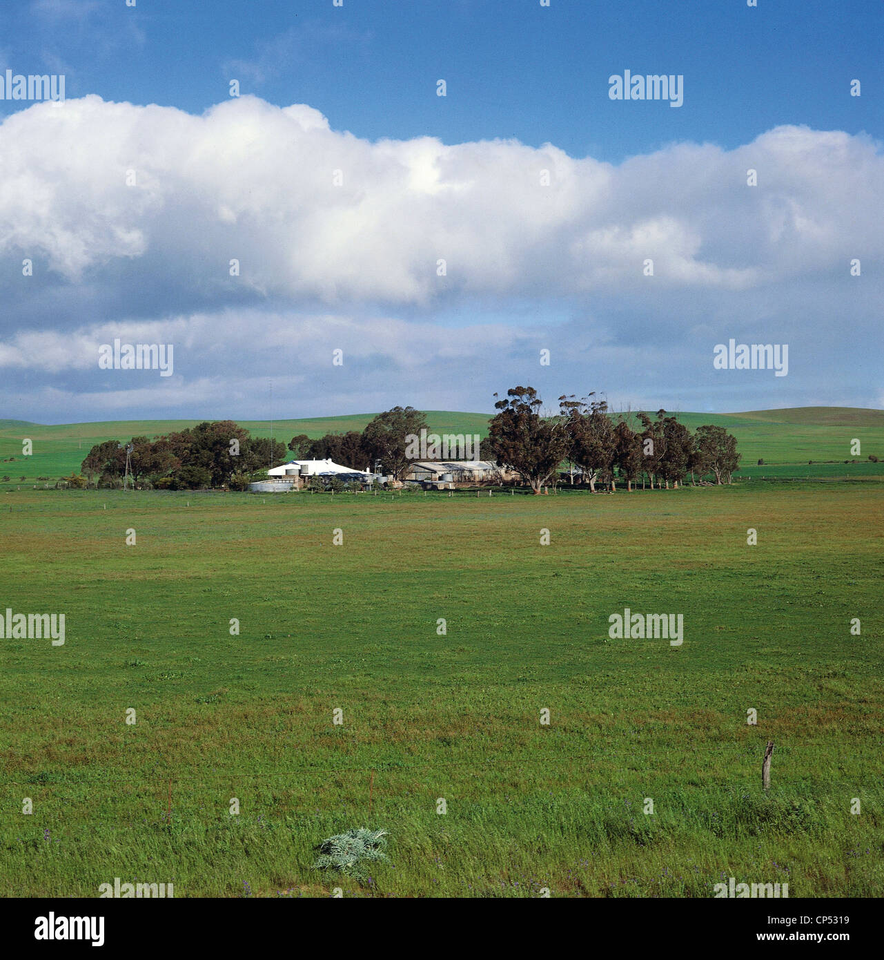 Riverton australia hi-res stock photography and images - Alamy