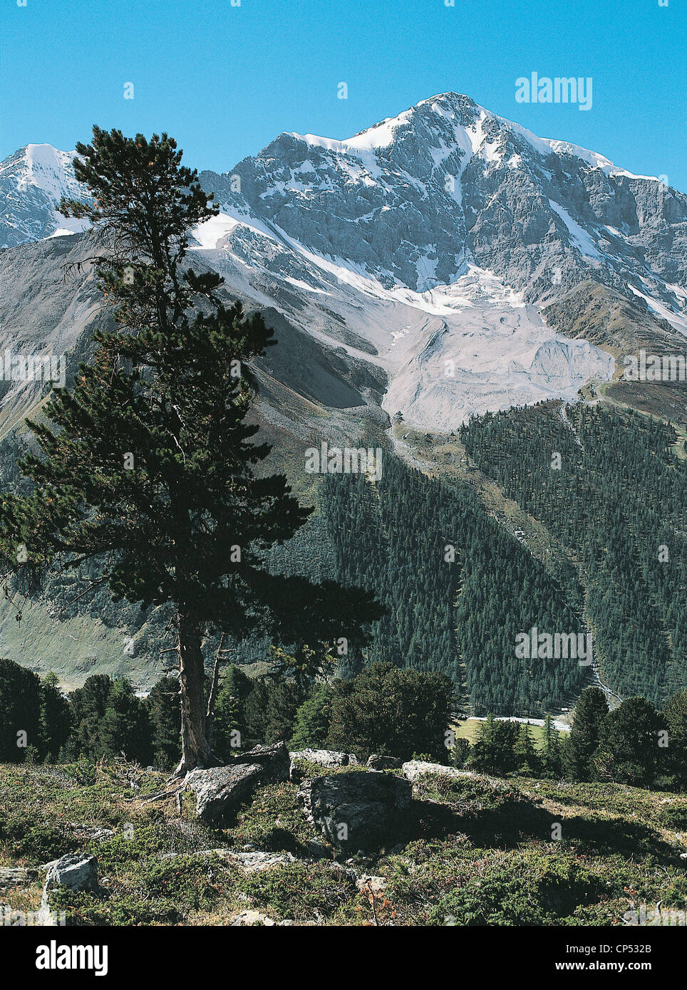 Mount Ortles High Resolution Stock Photography and Images - Alamy