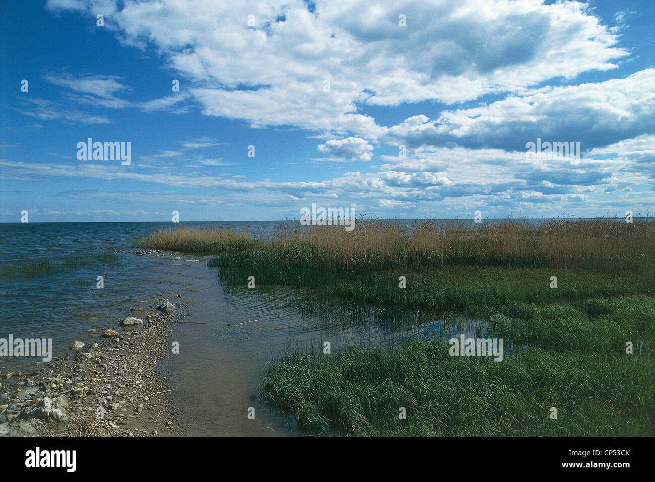 Estonia - The Lake Peipsi Stock Photo - Alamy