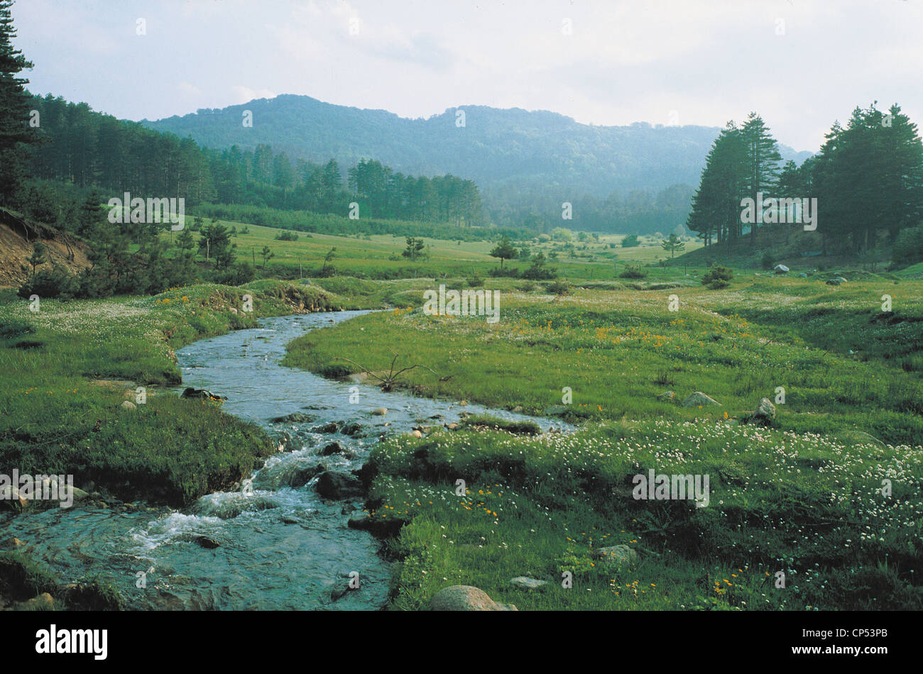 Calabria Calabria Sila National Park Small Stream Stock Photo - Alamy