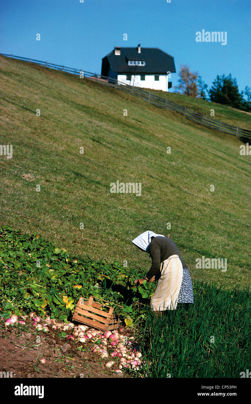 Ritten plateau hi-res stock photography and images - Alamy