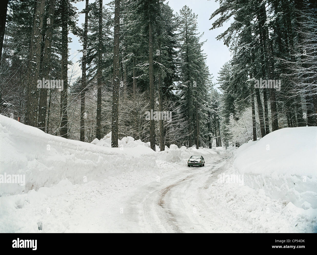 Parco Nazionale Della Calabria High Resolution Stock Photography and ...