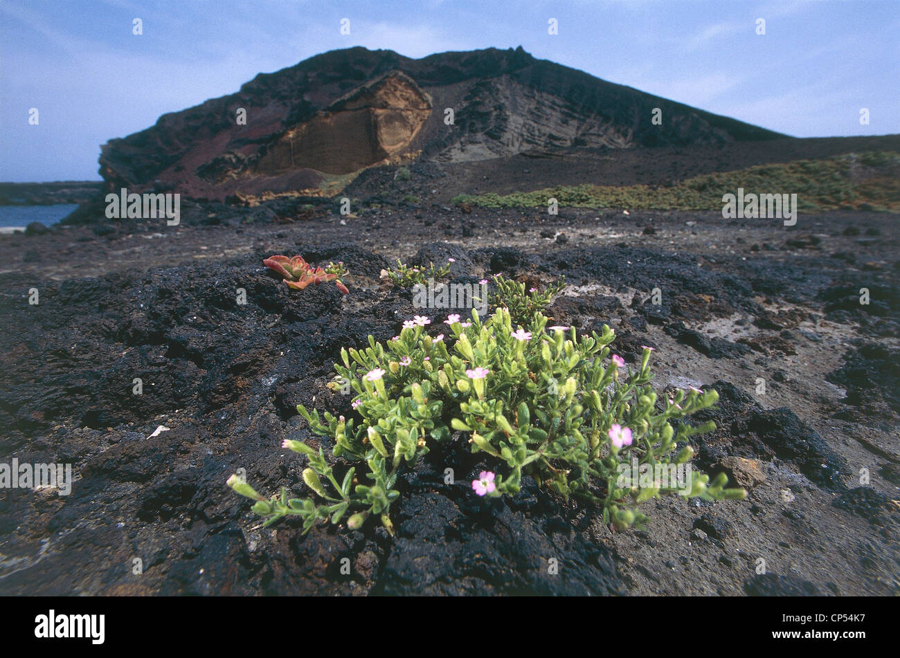 Linosa island hi-res stock photography and images - Alamy