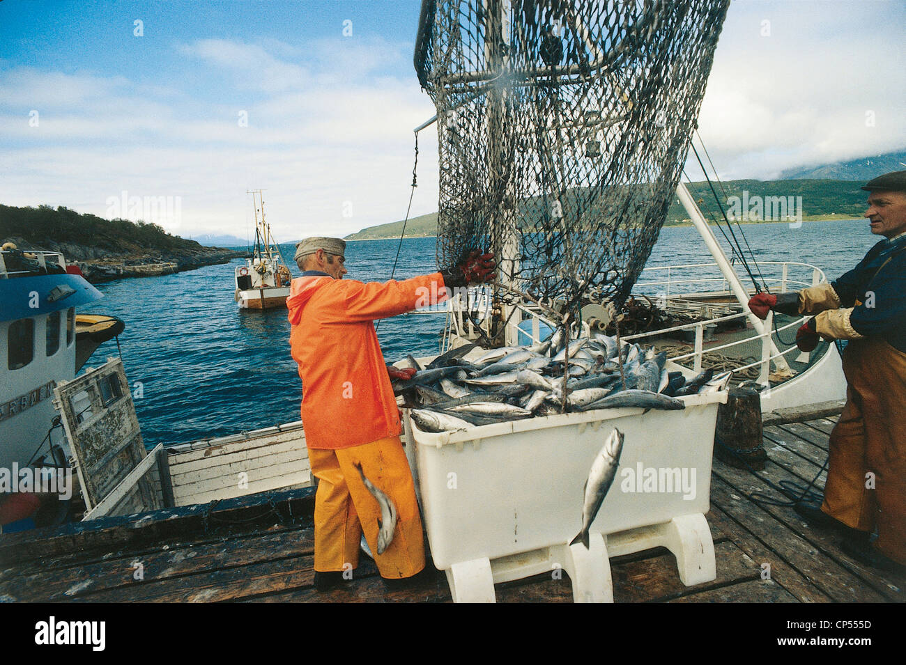 NORWAY STRAUMFJORD cod fishing Stock Photo - Alamy