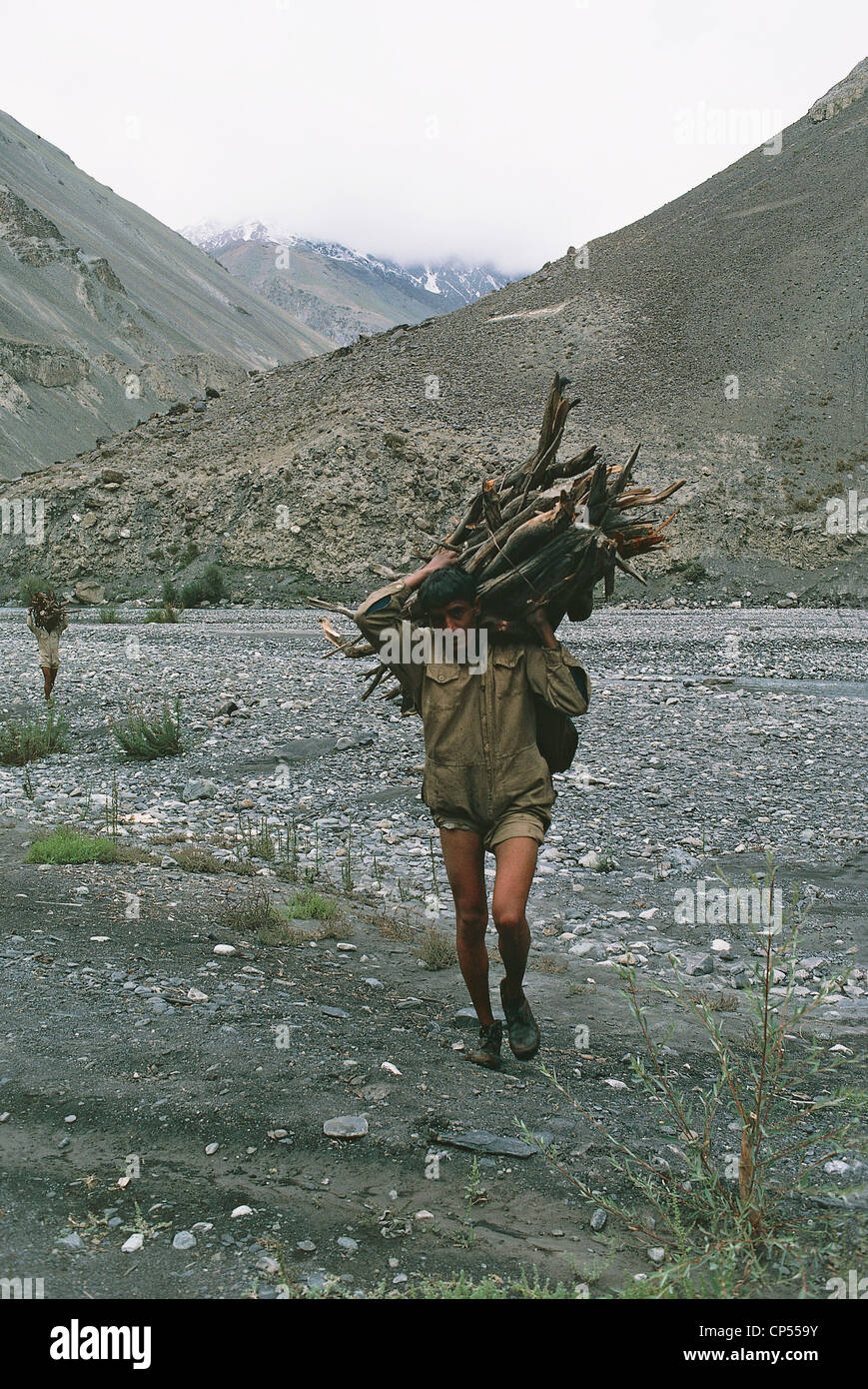 Pakistan Bearer Wood Stock Photo - Alamy