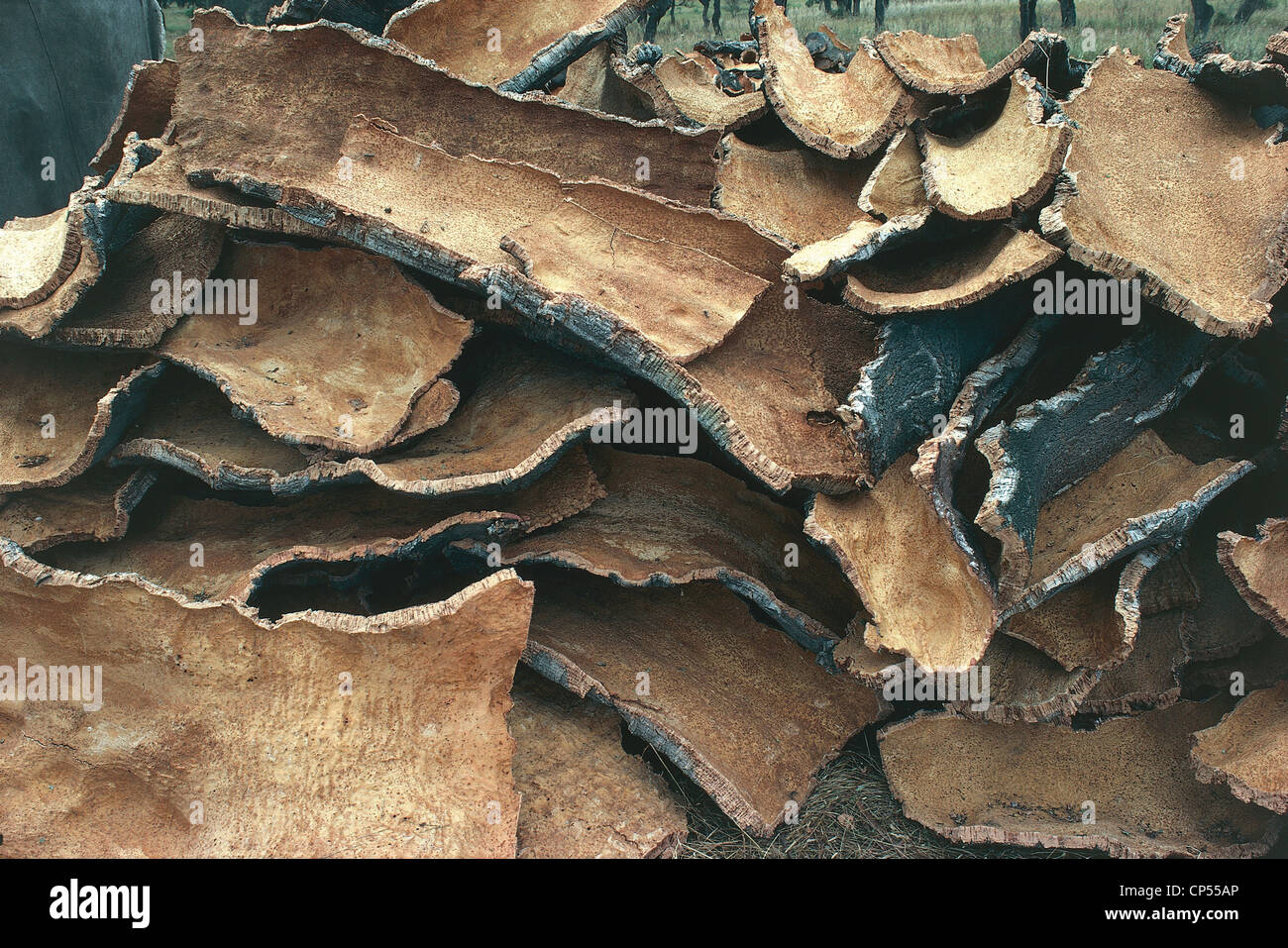 Sardinia Collection Cork Stock Photo - Alamy