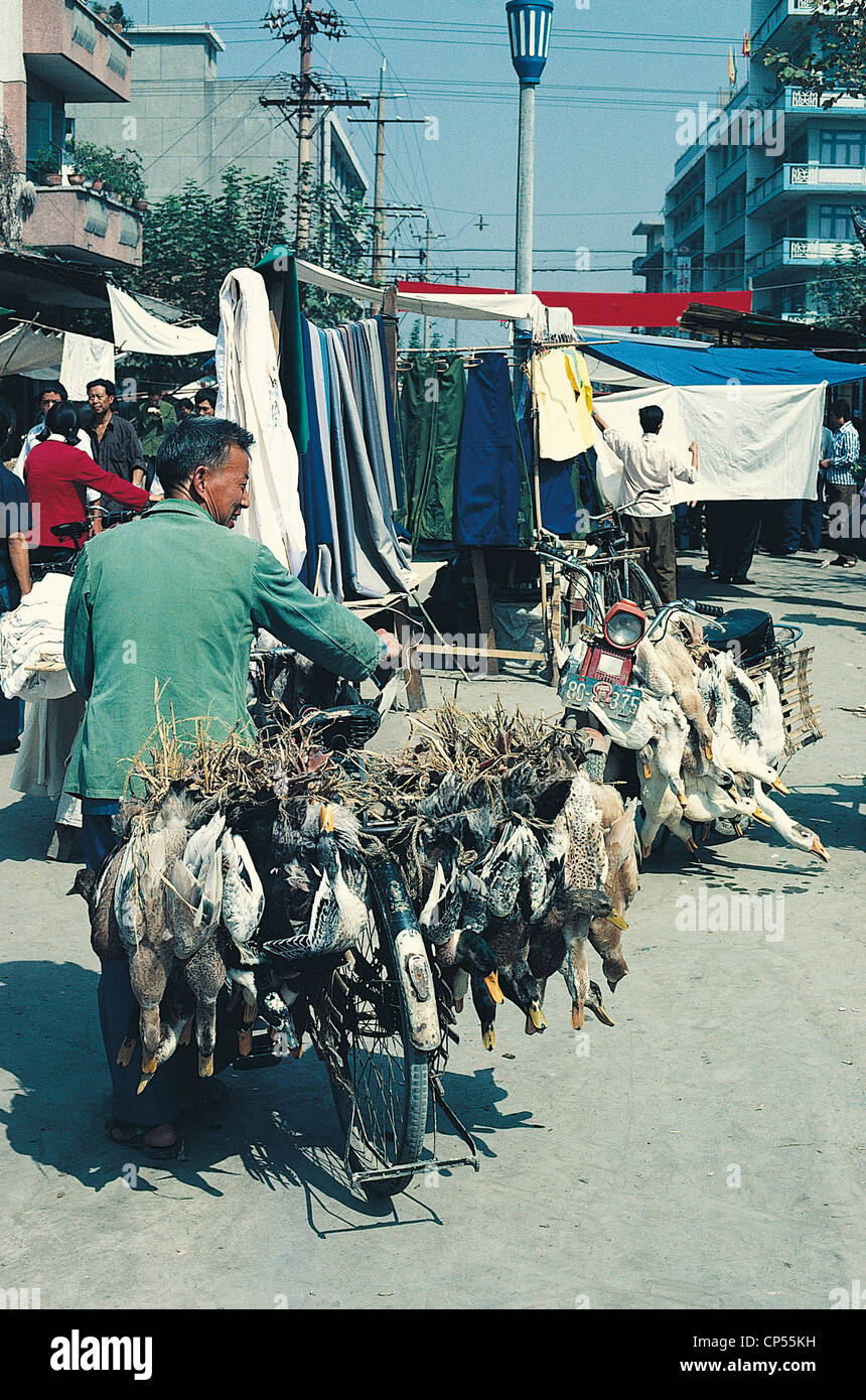 Sichuan xindu hi-res stock photography and images - Alamy