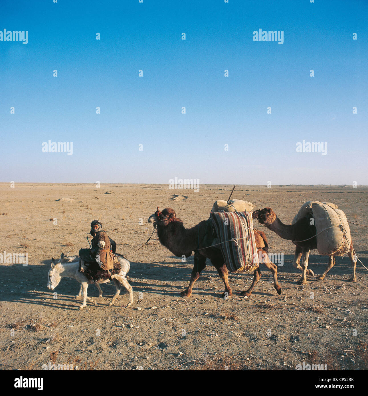 AFGHANISTAN Bactria CARAVAN Stock Photo - Alamy
