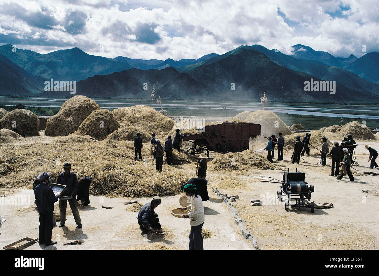 China - Tibet - Around Lhasa. Farm work: threshing and winnowing barley ...