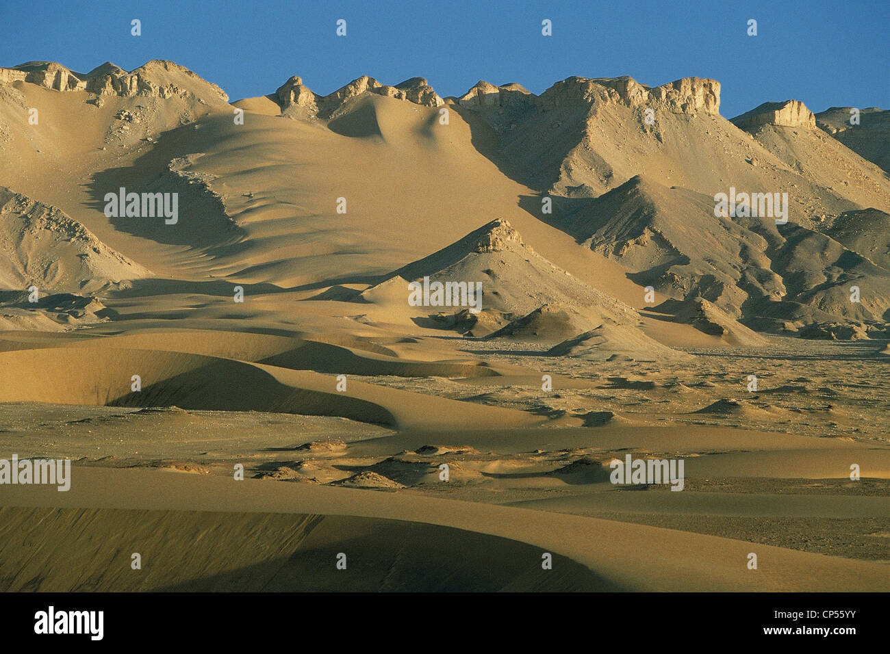 EGYPT - EASTERN SAHARA DESERT, Around the Oasis of Dakhla. DUNE Stock ...