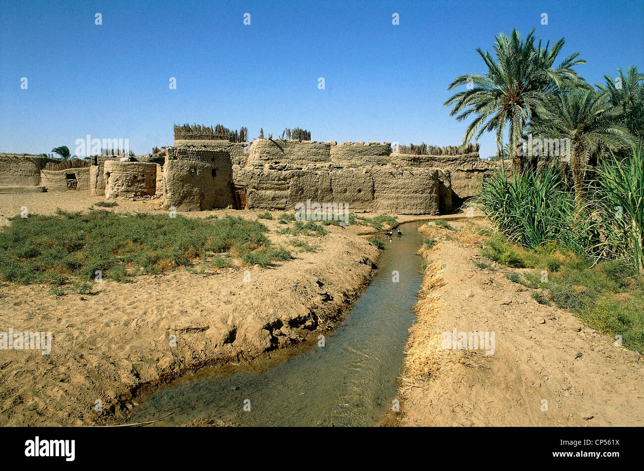 Egypt - Eastern Sahara Desert (Libyan Desert) - Kharga Oasis ...