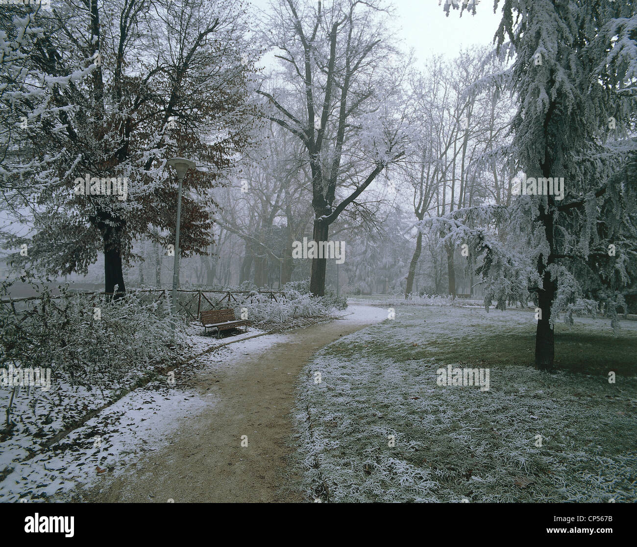 Piedmont - Novara. Alley Park in winter Stock Photo - Alamy