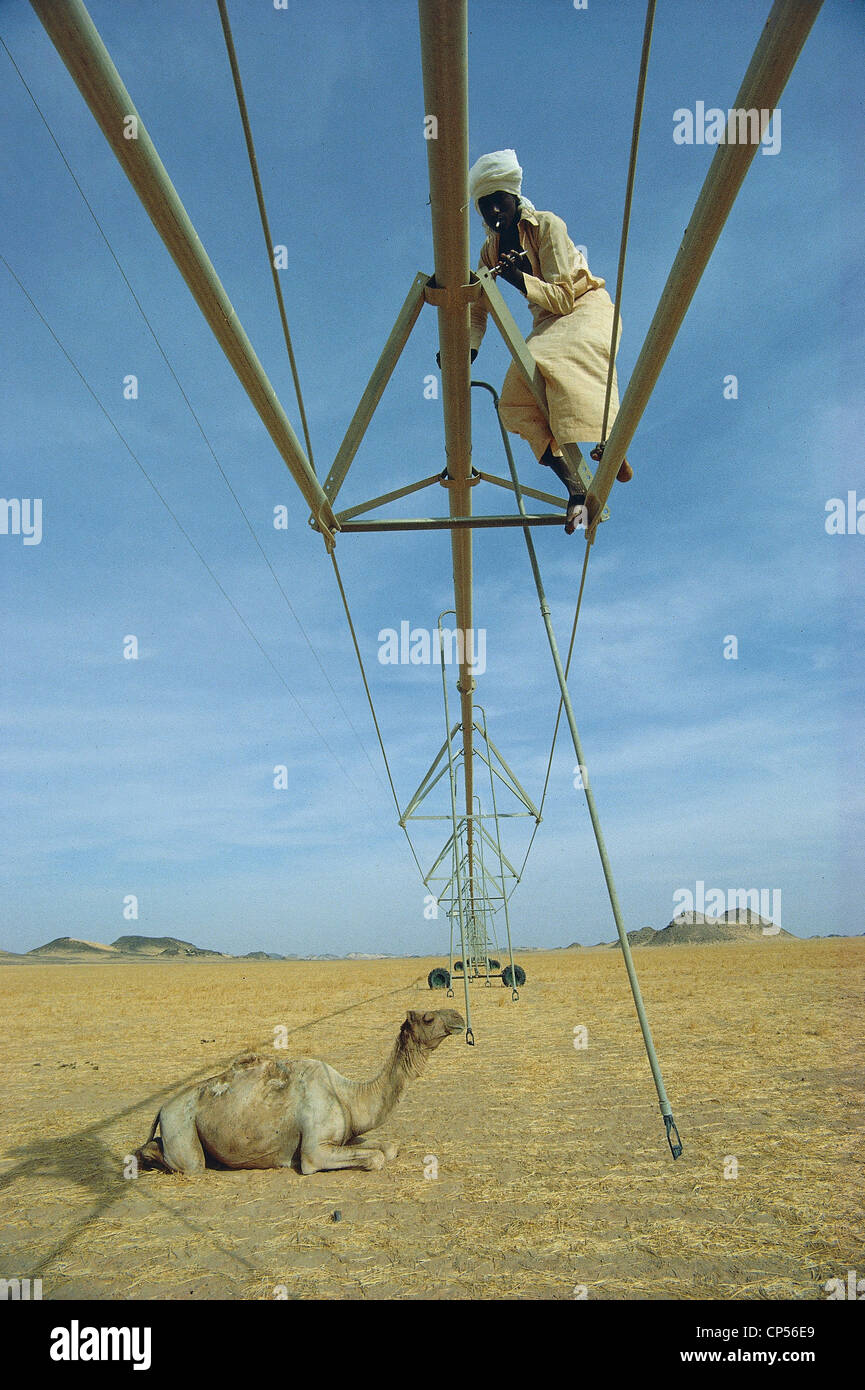 Sahara desert irrigation system hi-res stock photography and images - Alamy