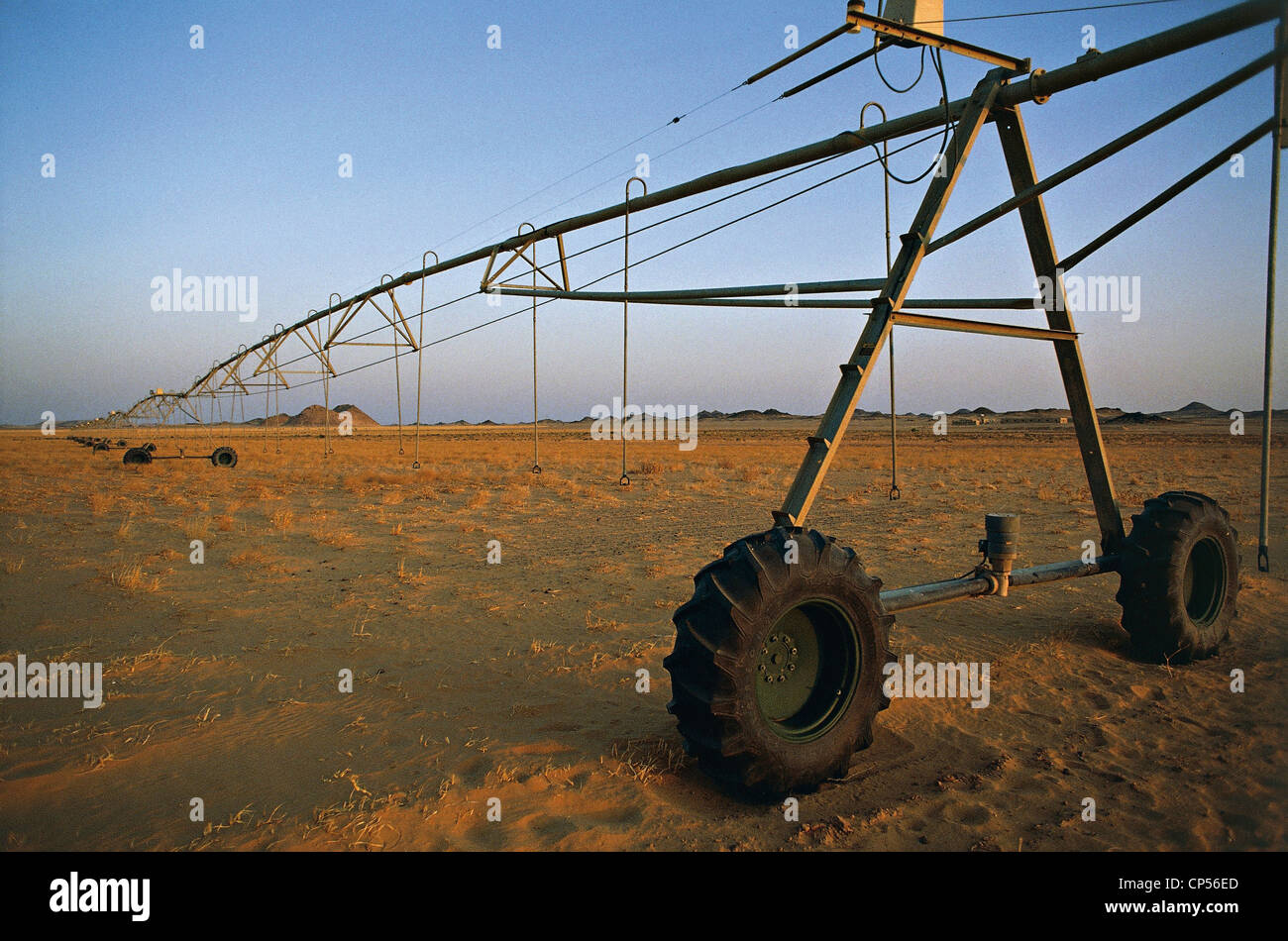 Egypt - Eastern Sahara - Greater Abu Simbel - experimental irrigation ...
