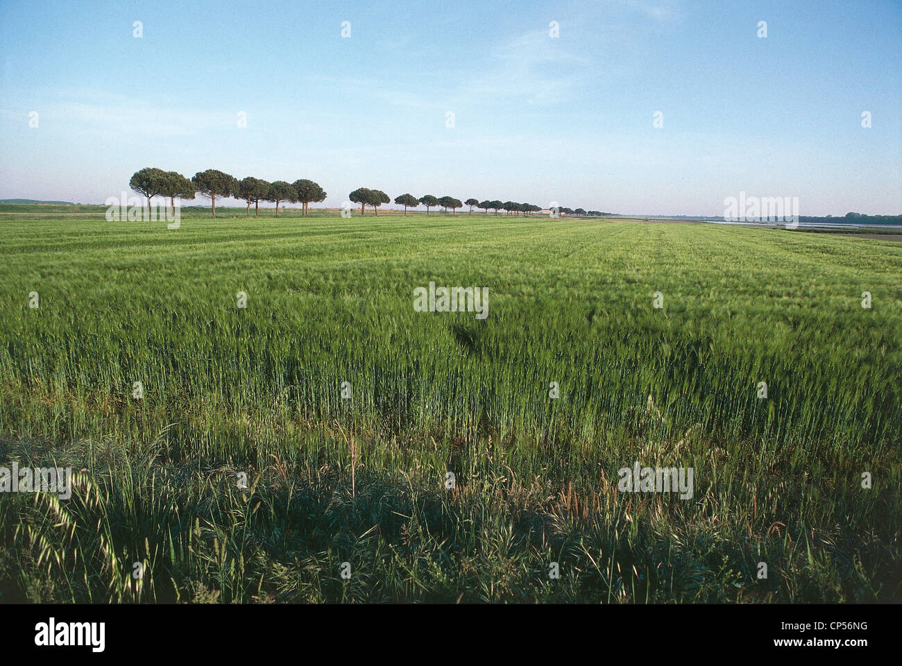 EMILIA ROMAGNA - Po Delta Regional Park. PORT OF PO, reclaimed land ...