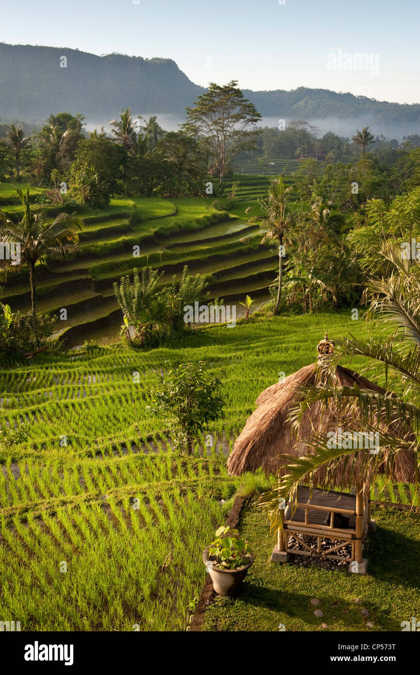 Some of the most dramatic and beautiful rice terraces can be found in ...