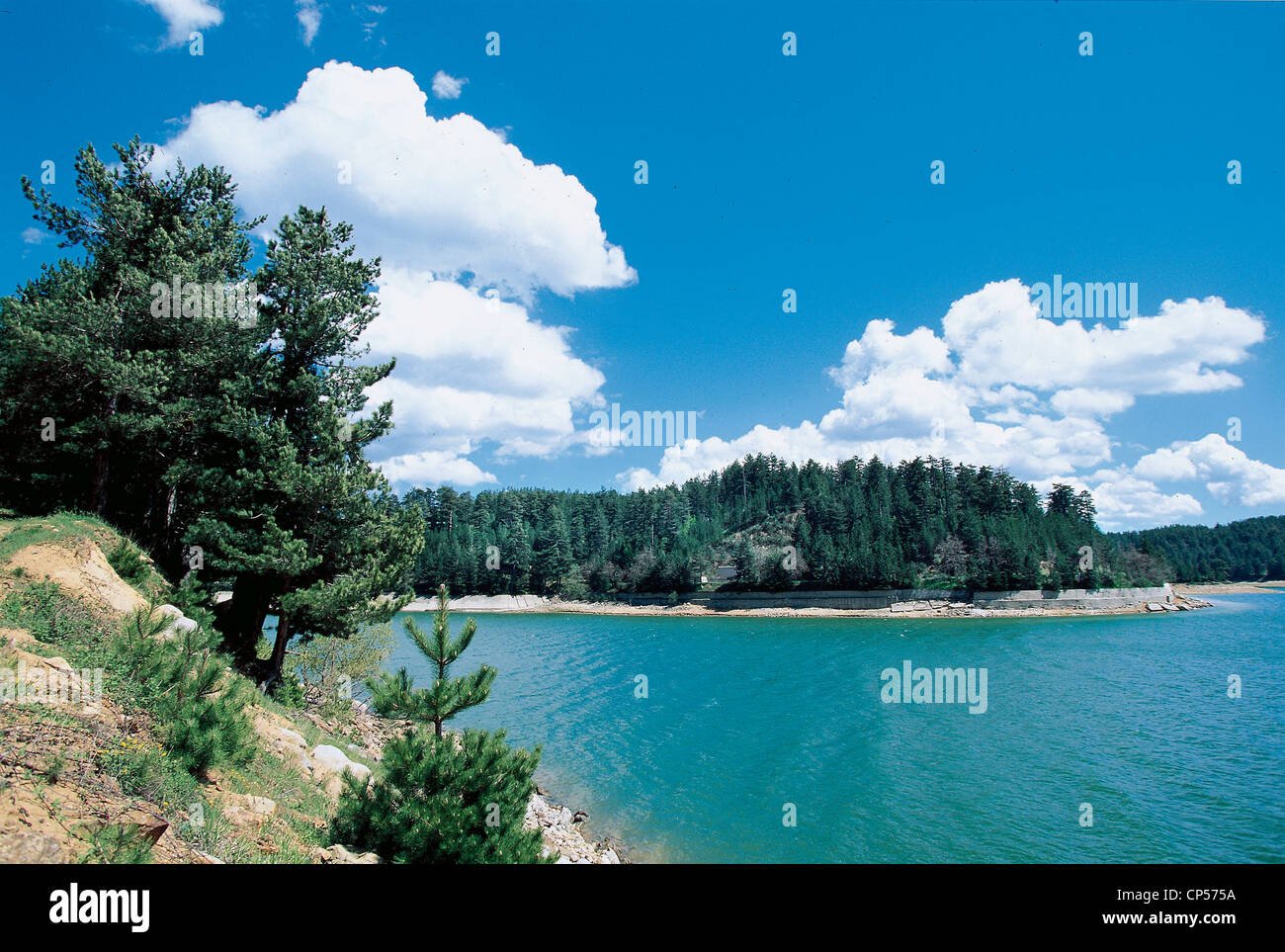 CALABRIA Calabria National Park (SILA) LAKE Ampollini Stock Photo - Alamy