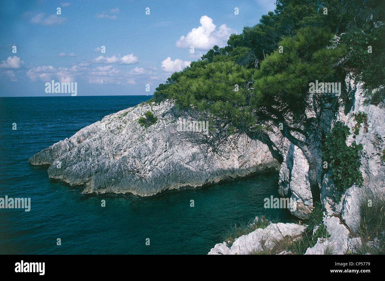 Puglia - Parco Nazionale del Gargano-Tremiti - Isola San Domino (Foggia ...