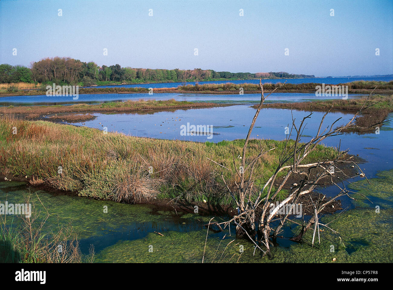 Lazio - Parco Nazionale del Circeo. Pantani Hell Swamp Stock Photo - Alamy