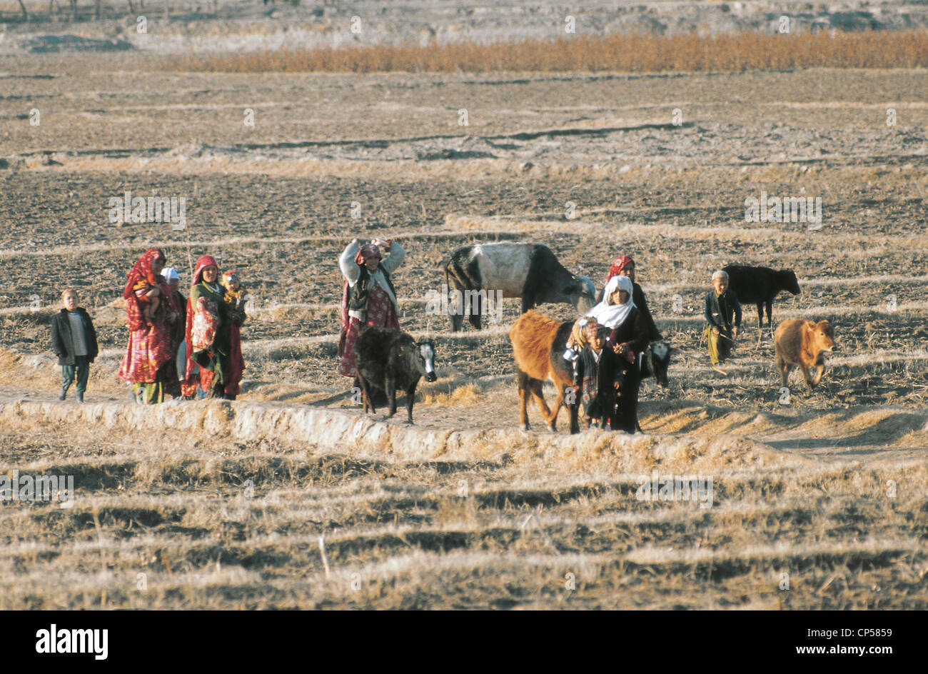 AFGHANISTAN - Registan Desert, NOMADS PACHTOUNS Stock Photo - Alamy