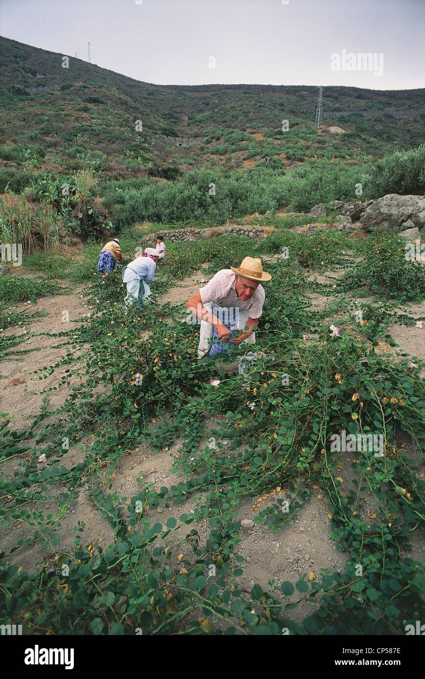 Sicily - Aeolian Islands - Island of Salina (Me) - Around Pollara ...