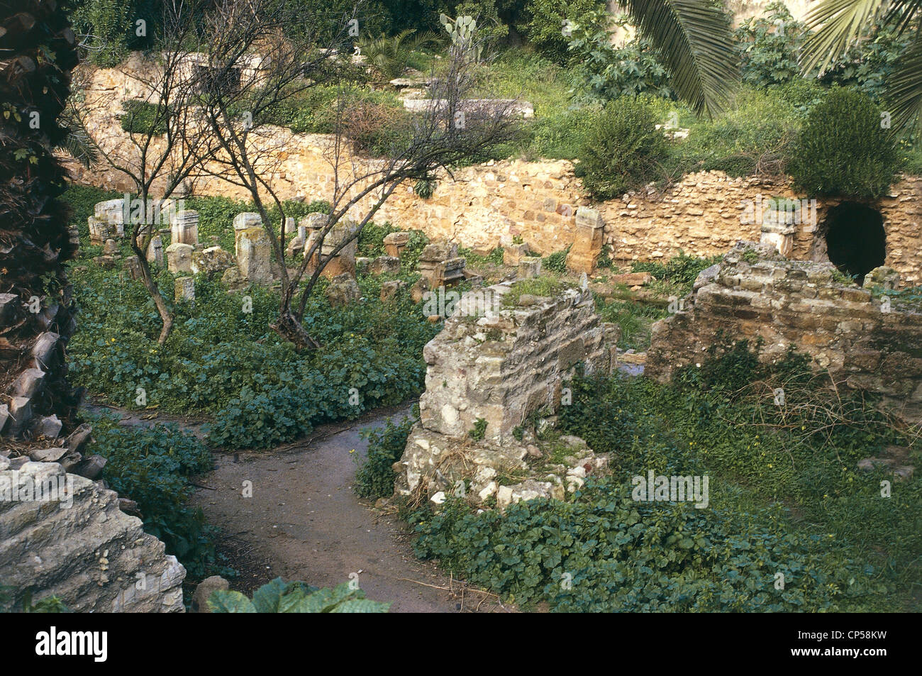 Tophet carthage hi-res stock photography and images - Alamy