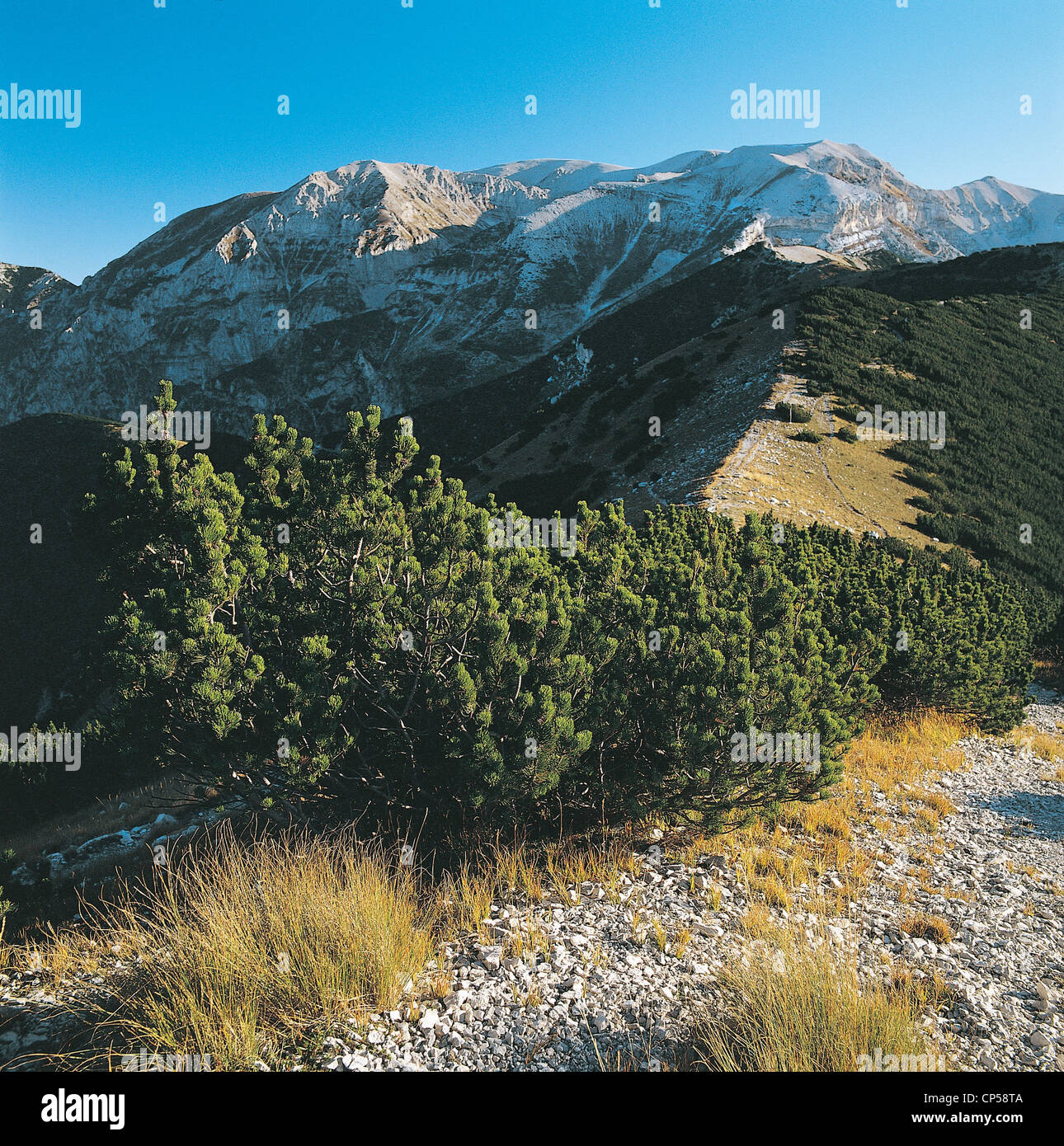 Parco nazionale della majella hi-res stock photography and images - Alamy