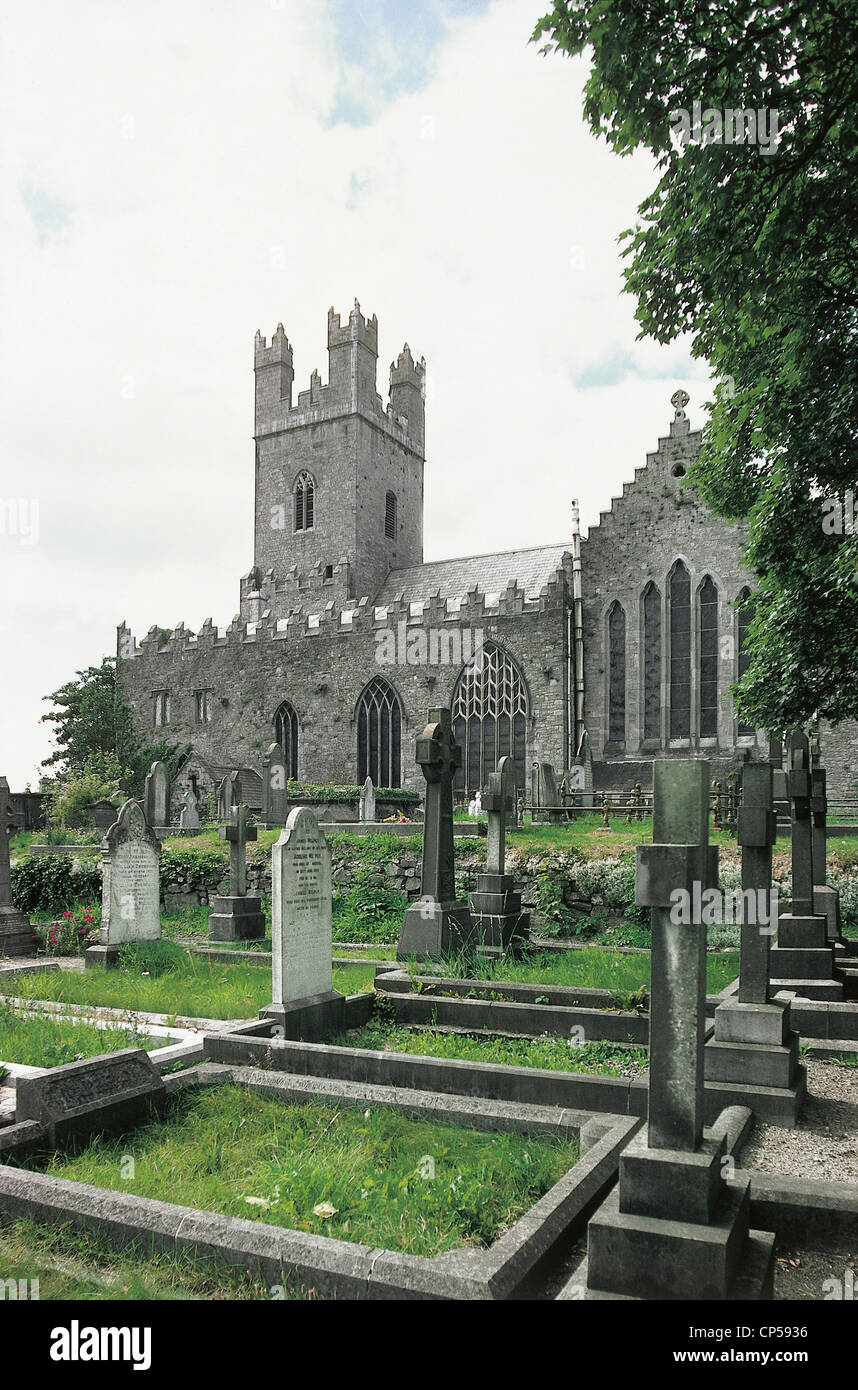 Ireland - County Limerick - Limerick - Cathedral of Saint Mary Stock ...