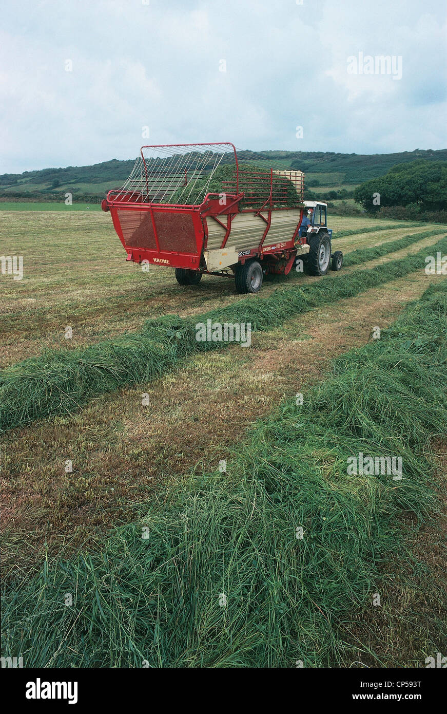 Ireland - Cork. Farm work Stock Photo - Alamy