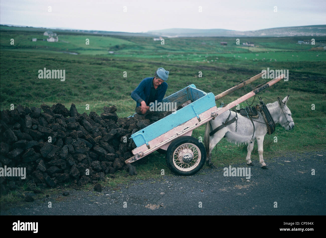 Donkey and cart ireland hi-res stock photography and images - Alamy