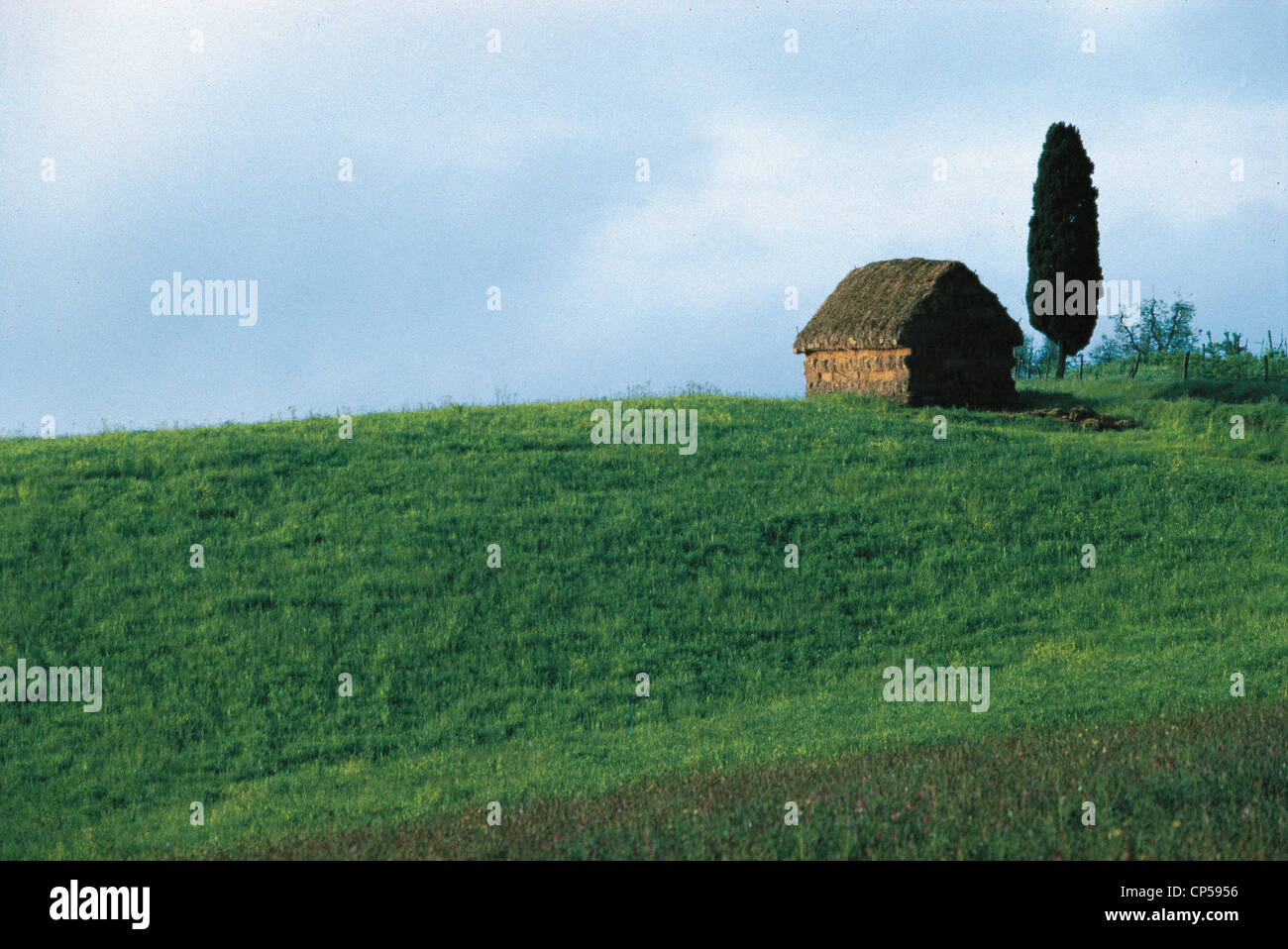 Siena Tuscany Landscape Stock Photo - Alamy