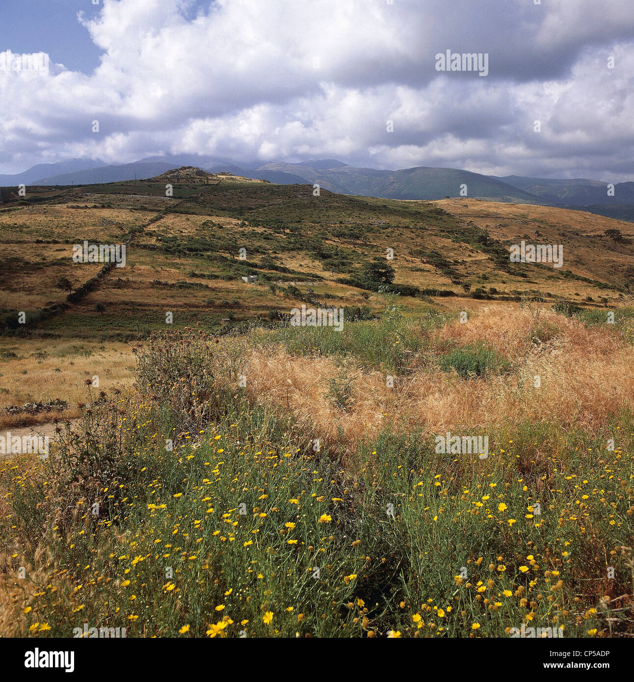 Sardinia - The massif of Monte Linas (Ca Stock Photo - Alamy