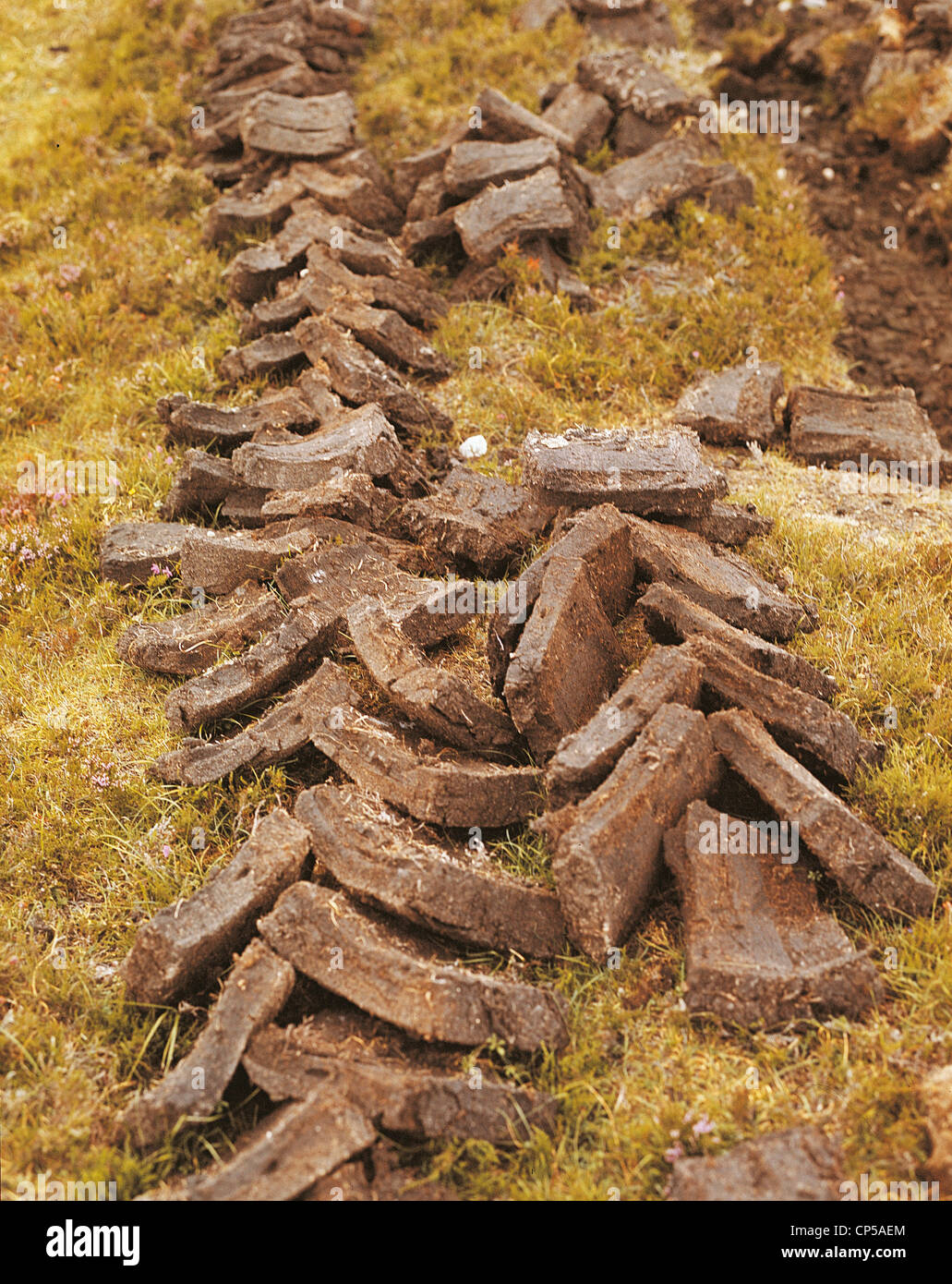 Torbiera hi-res stock photography and images - Alamy